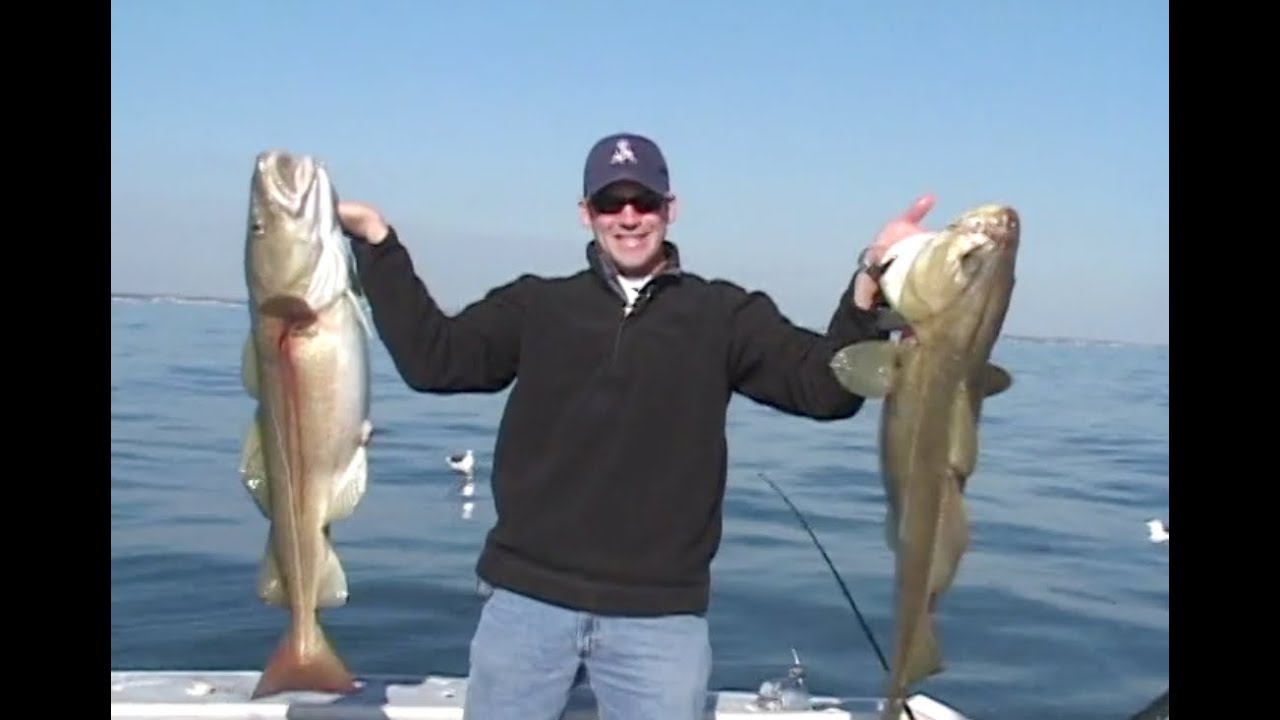 I Caught a Giant Cod Fish! - YouTube