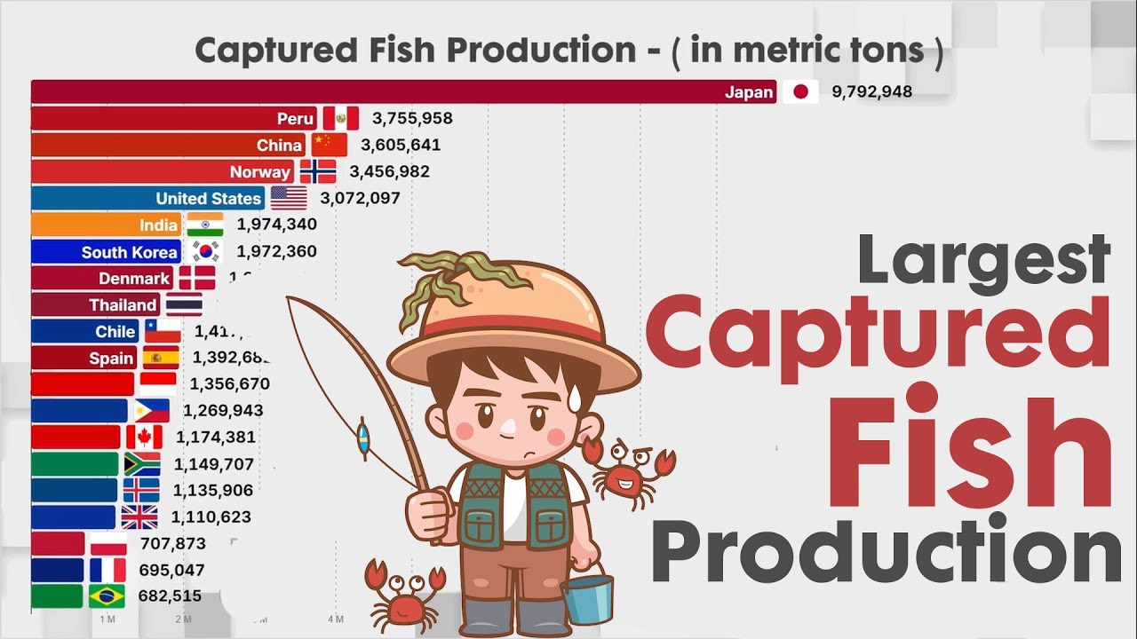 CAPTURE FISHERIES PRODUCTION BY COUNTRY | by FAO - YouTube