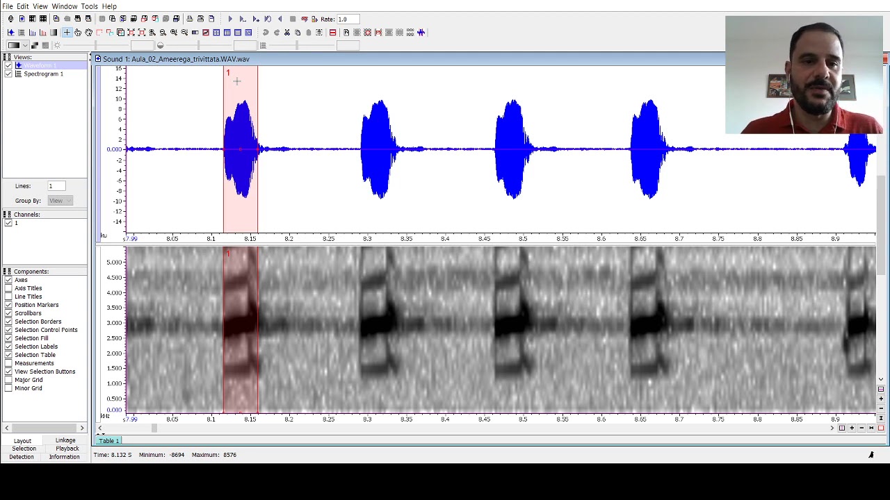 Introdução a análises bioacústicas usando o Raven - Aula 03 - YouTube
