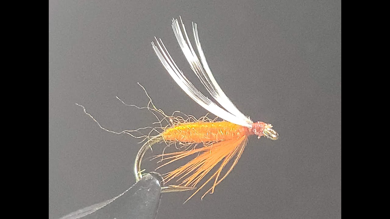 The Wilson Fly - YouTube