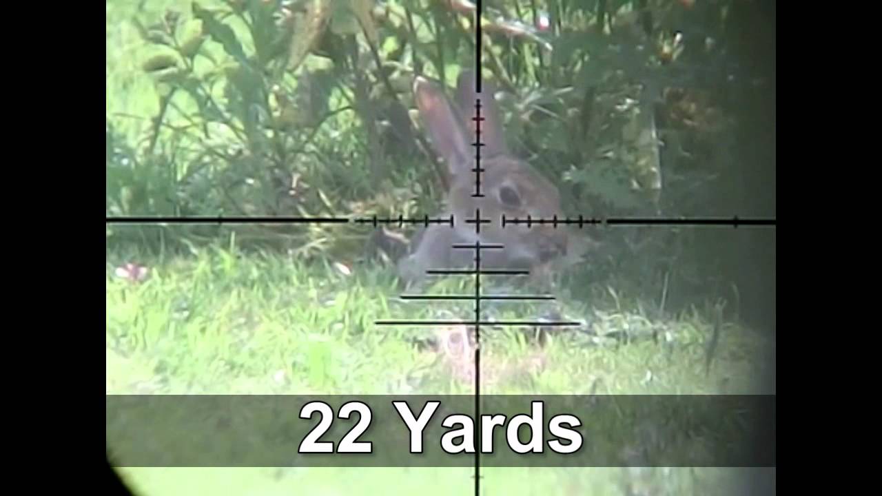Slow Motion Airgun Rabbit Hunting #8 - YouTube