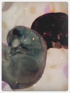 BABY DOLL FACED MORKIE PUPPIES - FCS PRECIOUS YORKIES - YouTube
