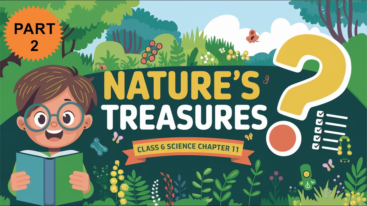Part 2 Mcq Class 6 Curiosity Science Chapter 11 Natures Treasures - YouTube
