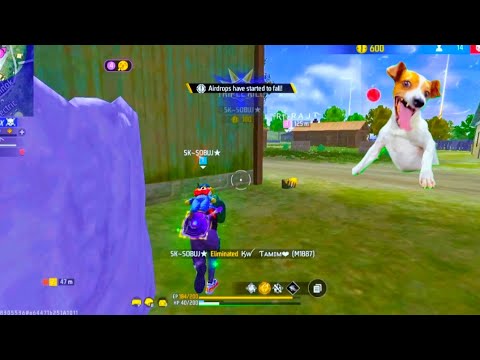 FREE FIRE HIGHLIGHT 10 KILL CHALLENGE IN MOBILE PLAYER 3 GB RAM 🙂 Paglu Gamer 2X - YouTube