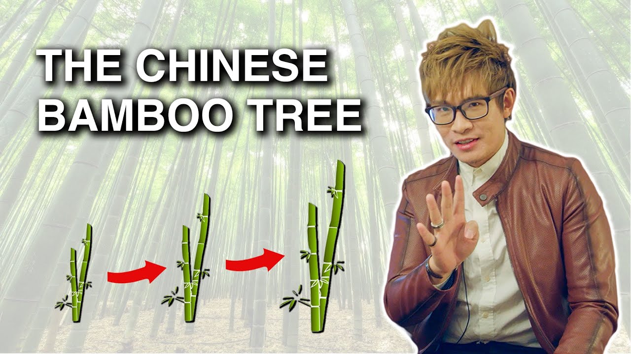 The TRUTH About Entrepreneurship | Chinese Bamboo Tree Story - YouTube