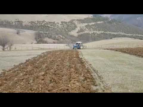 FORD 3600 CİFT SÜRME YERALAN KAVAK/SAMSUN