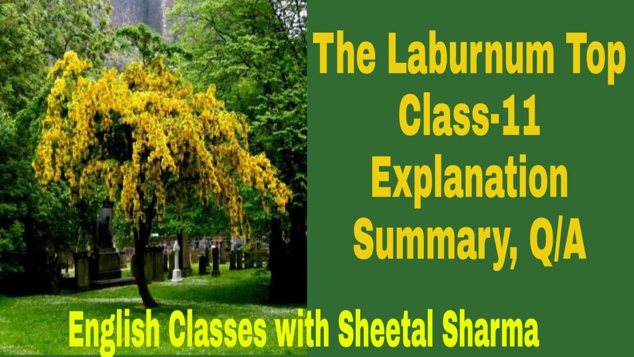 THE LABURNUM TOP CLASS 11 EXPLANATION Q A POETIC DEVICES HORNBILL the-laburnum-top-class-11-explanation-q-a-poetic-devices-hornbill