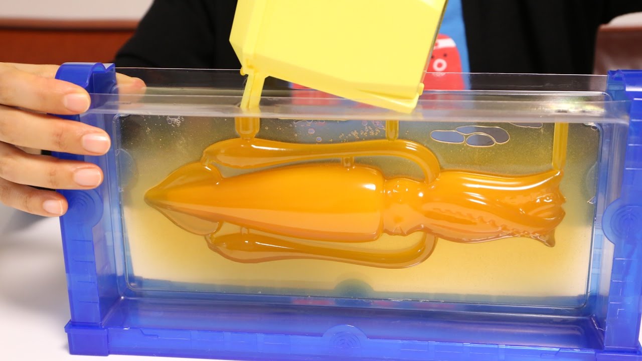 Giant Squid/Architeuthis dux Gummy Making Kit - YouTube