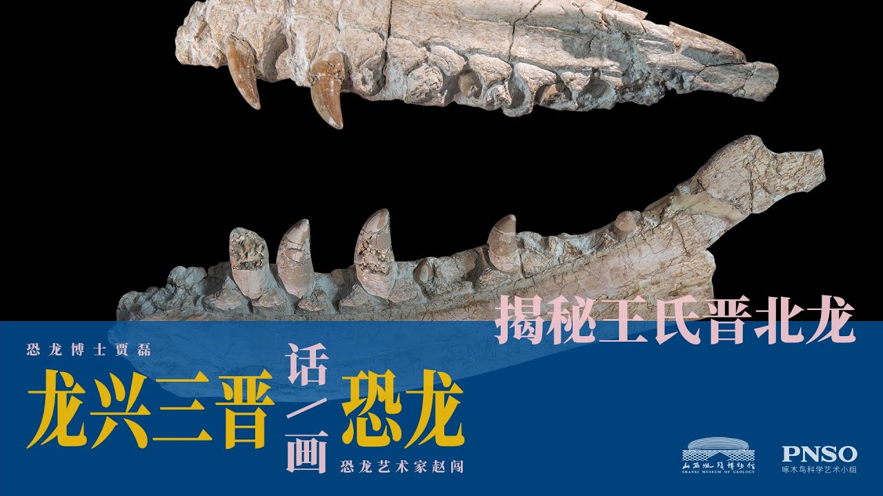 The Secrets of Jinbeisaurus wangi | A Relative of Tyrannosaurus rex ...