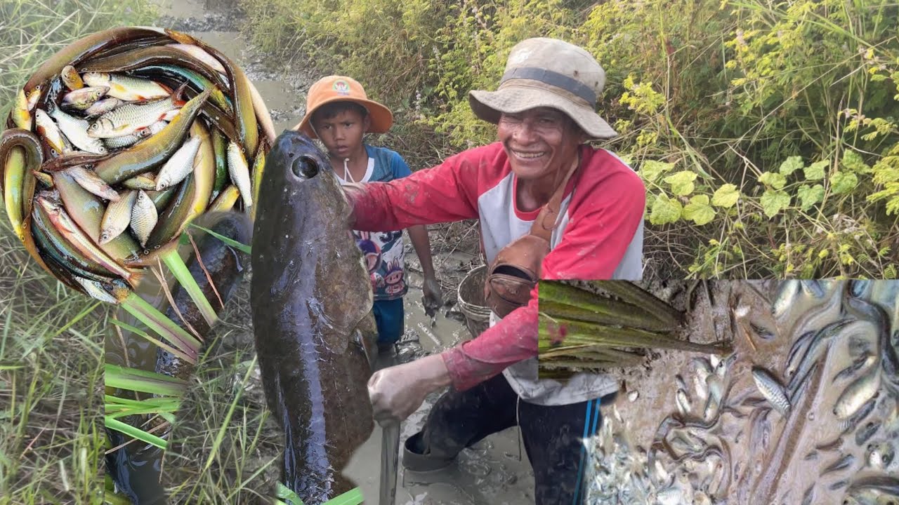 Wow !😮 tradition catching fish a lot fish today$ - YouTube