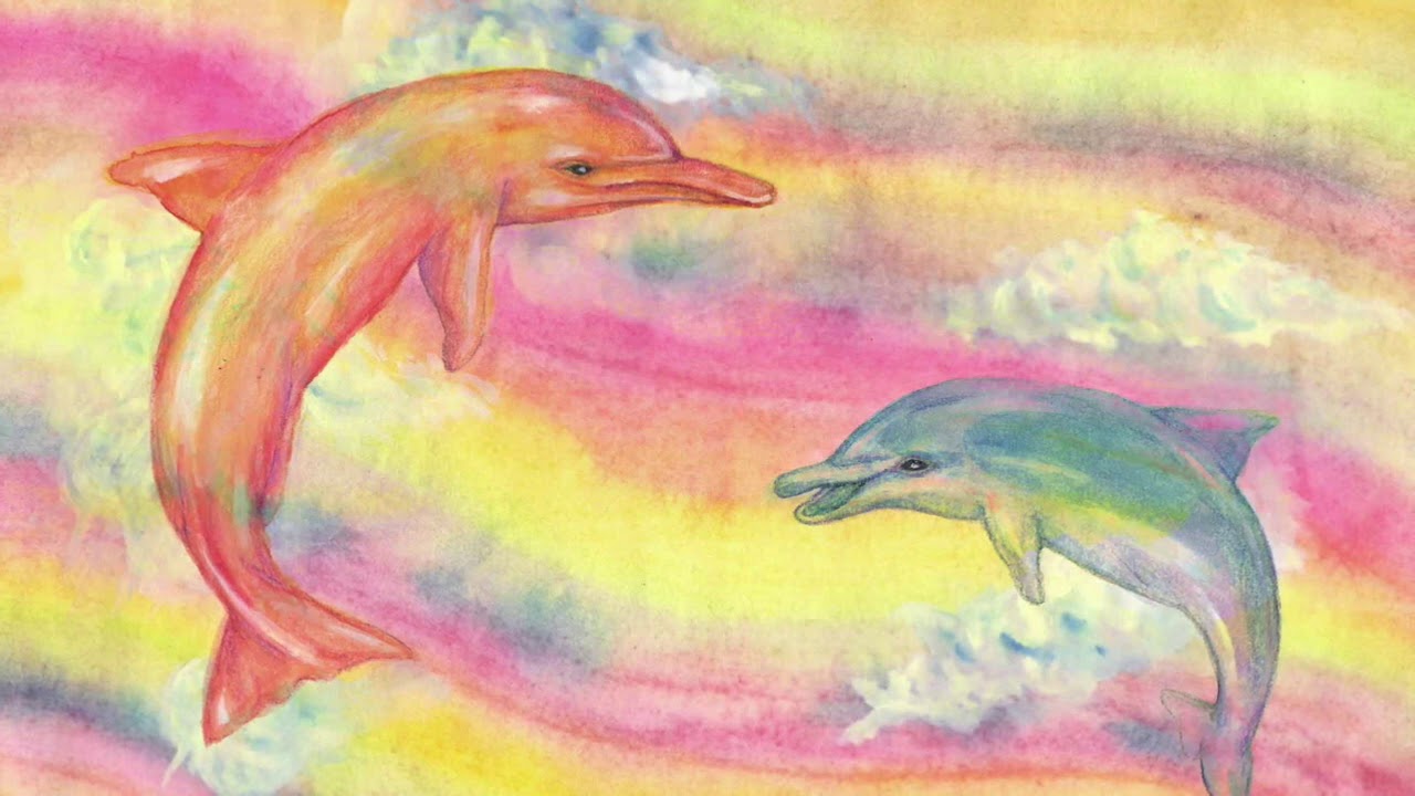 Rainbow Dolphin Meditation for Kids - YouTube