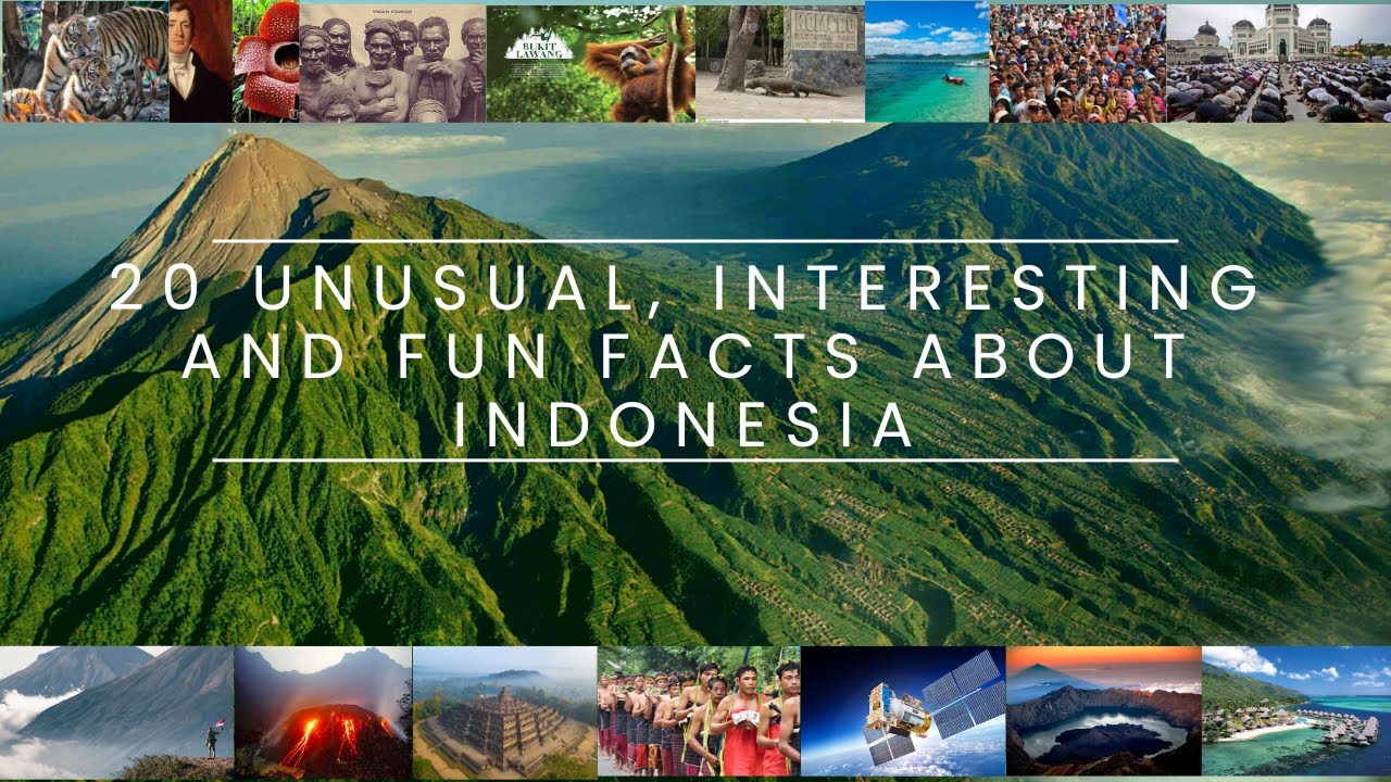 20 Unusual, Interesting and Fun Facts About Indonesia - YouTube