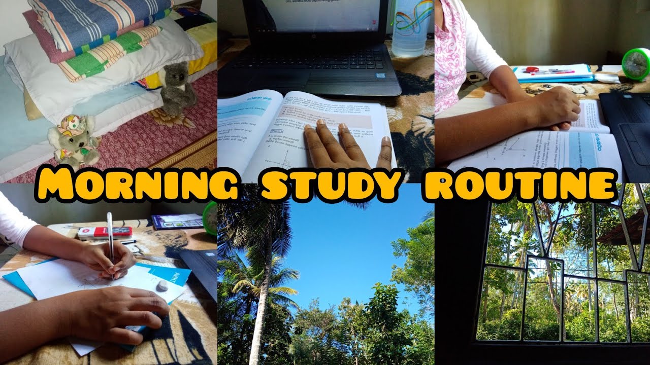 My morning study routine 🌿|| relaxing || new month ||☘️🌺# ...