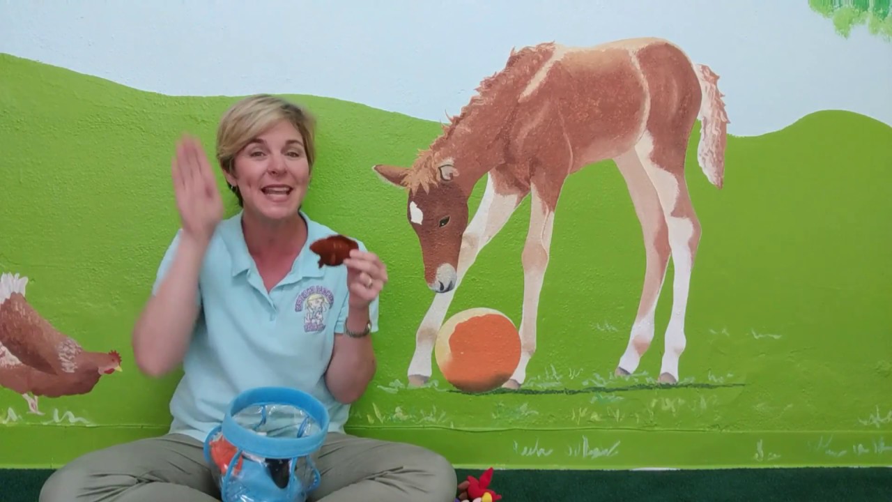 Baby Sign Basics - Color Signs - YouTube