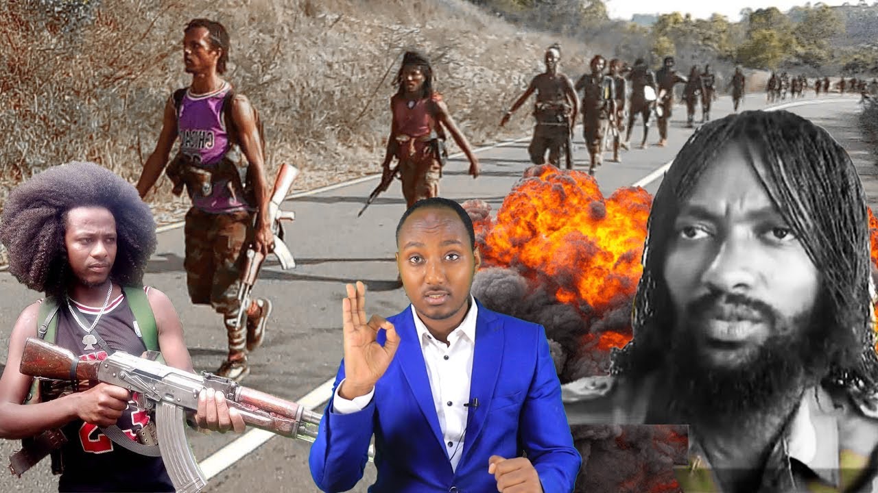 ODUU ADDAA: WBOn Jeneraal Maarroo Loltoota Mootummaa Gaara Abbaa Seenaa Keessatti Gudii Godhaara ...