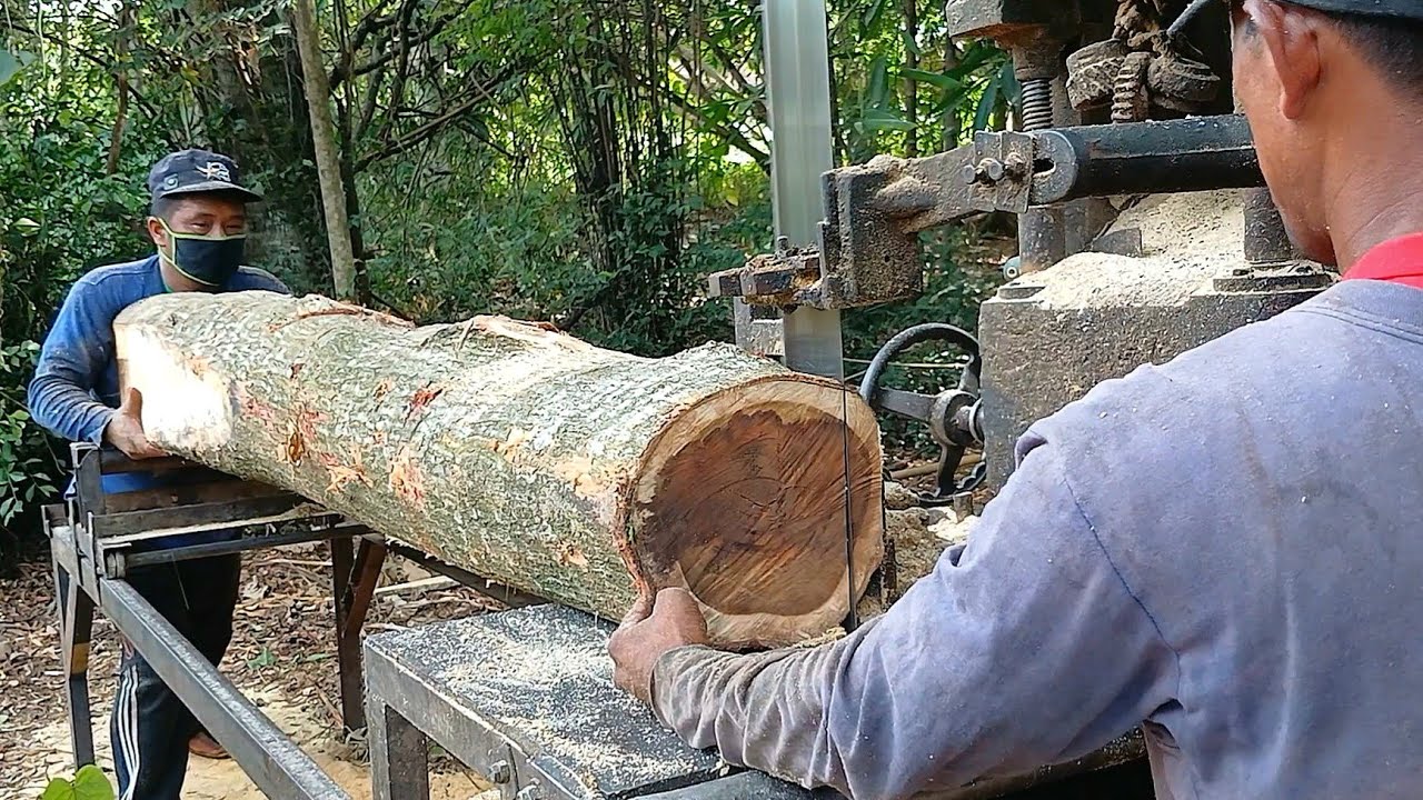 Merajang kayu akasia menggunakan gergaji Bandsaw Rakitan ‼️ - YouTube