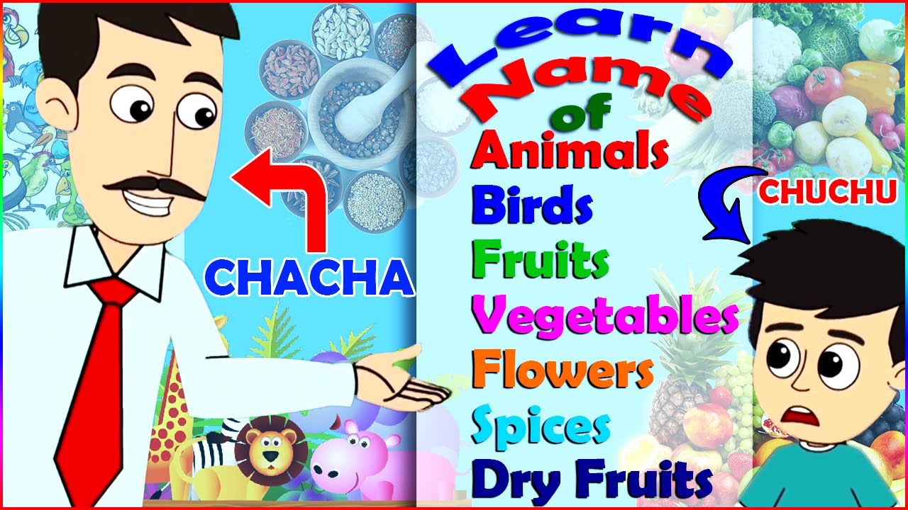 preschool learning video for kids (Name of Animal/Birds/Flowers ...