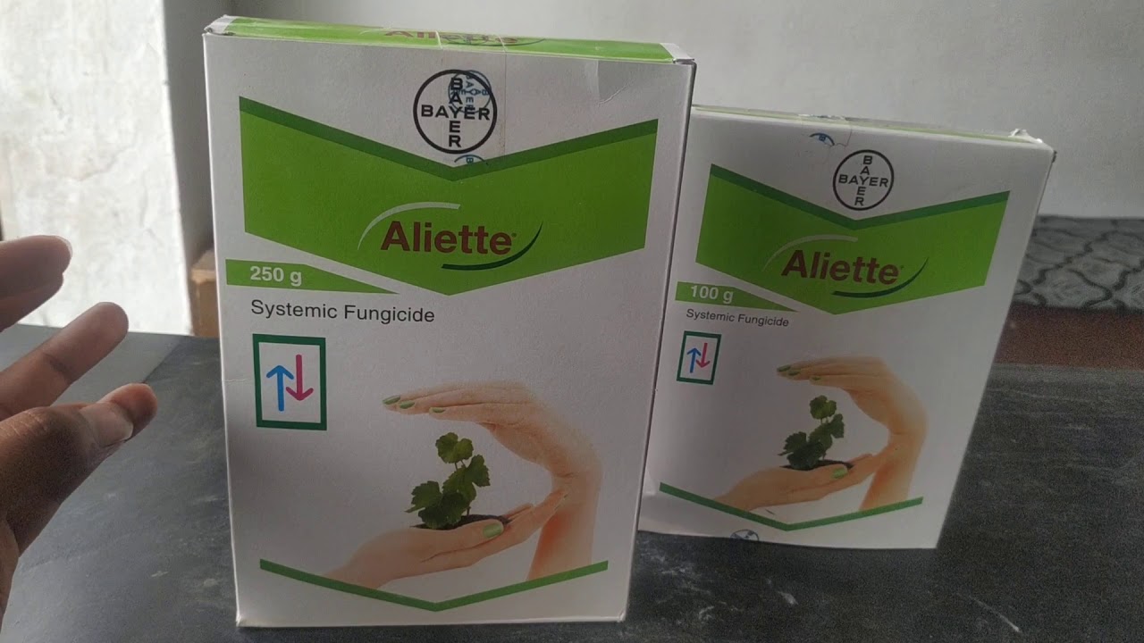 Bayer aliette(एलिएट) जड़ गलन का एक मात्र रामबाण उपाय। पूरी जानकारी ...