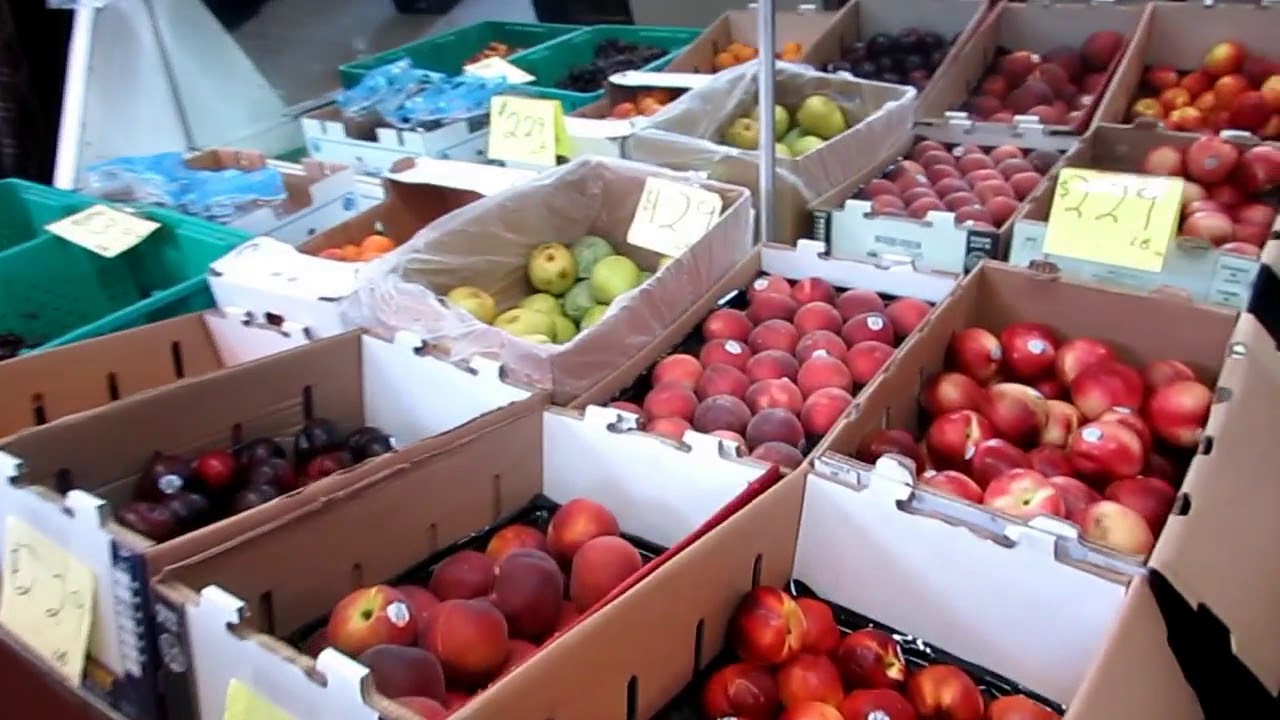 NO GARDEN? Amish/Mennonite Farmers MARKET SHOPPING! - YouTube