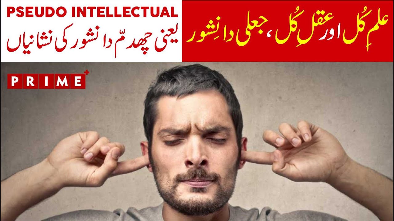 Inside the Mind of a Pseudo-Intellectual: Unveiling the Drive to ...