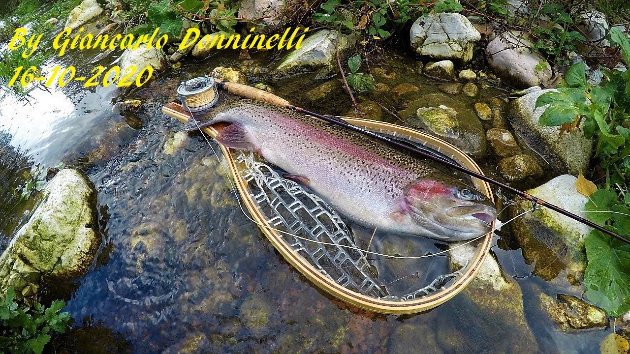 EXTREME FLY FISHING TROTE GIGANTI A mini STREAMER By Giancarlo ...