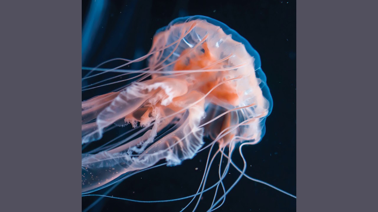 nthng - Shine [Full EP] - YouTube