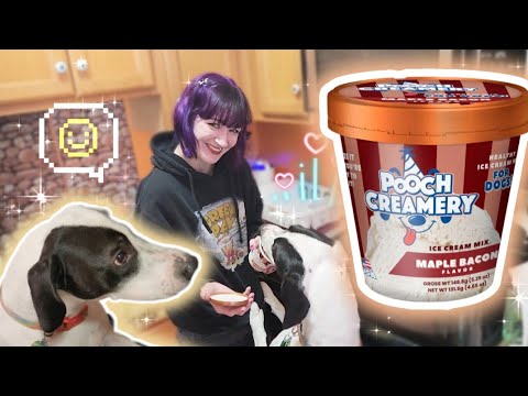 Constructing ice cream from mix for my dog Moo - YouTube