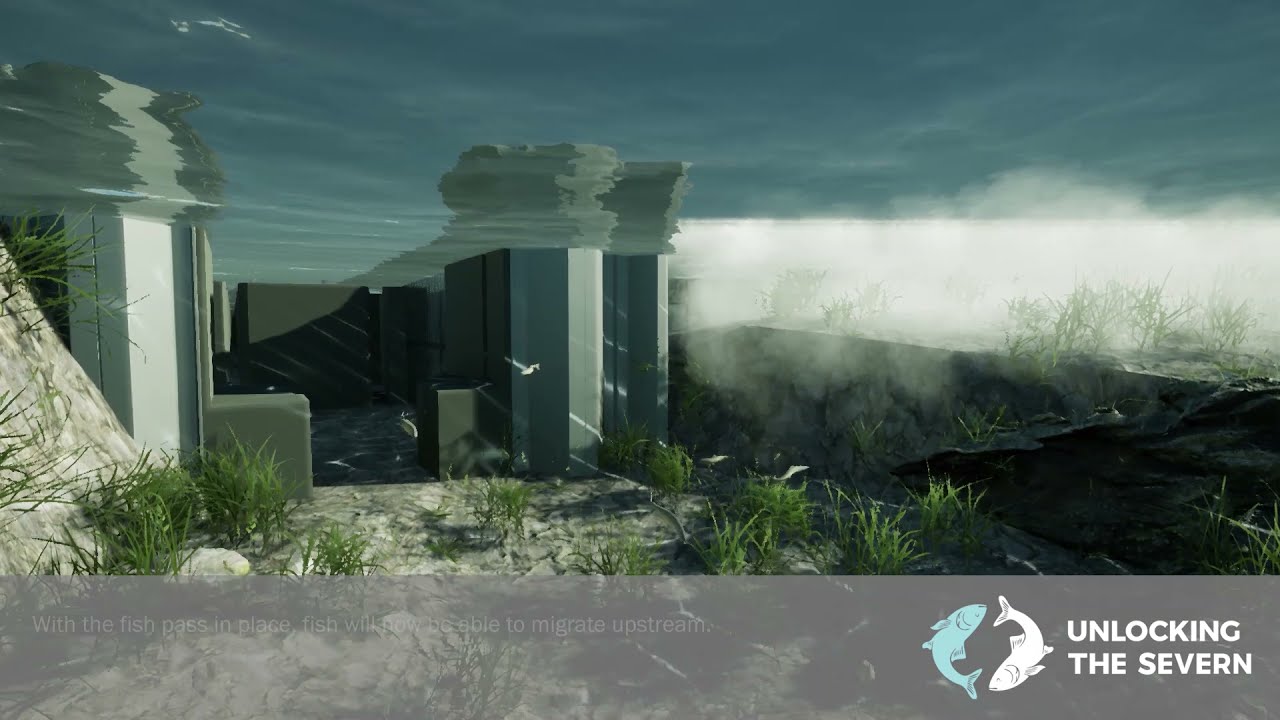 Lincomb Fish Pass Animation - YouTube