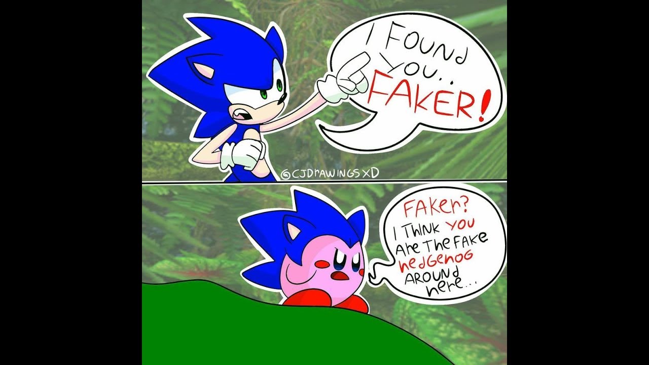 Fake hedgehog - YouTube