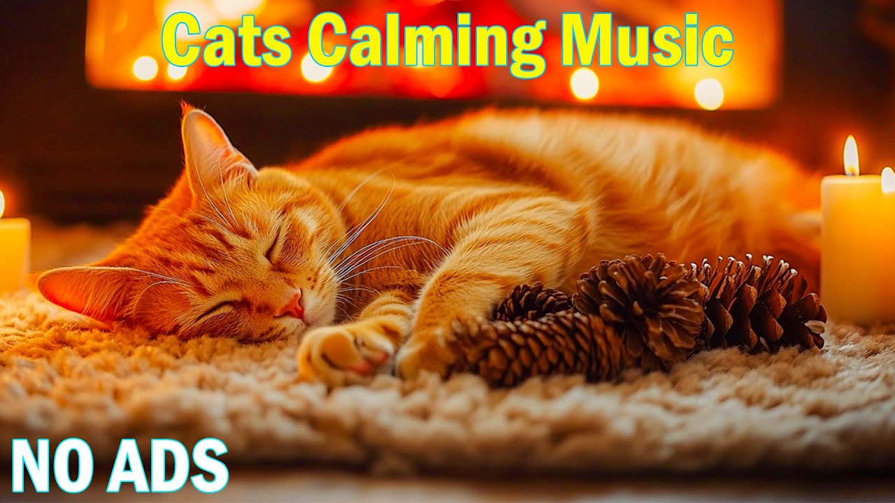12 Hours of Gentle Melodies for Restful Cat Naps🐾 Gentle Melodies for ...