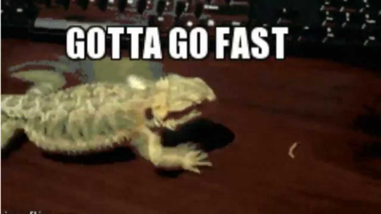 Gotta go fast - YouTube