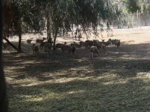 Visit to Moro, Sindh with friends - YouTube