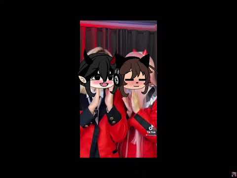 Gamberi gamberi sempai