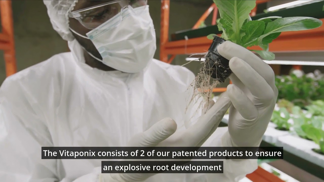 VITA ROOTING DIP .The most advanced natural rooting gel .NO HORMONES ...