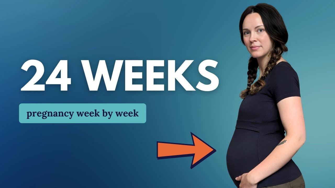 24 Weeks Pregnant 🤰 What to Expect: Changes for You & Baby Development ...