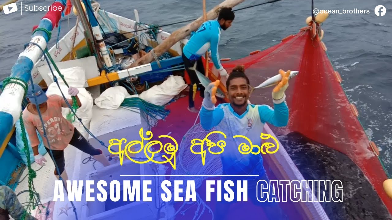 Awesome Sea Fish Catching Video 🐟 | Amazing Sea Fishing ⚓🌊 | Ocean ...