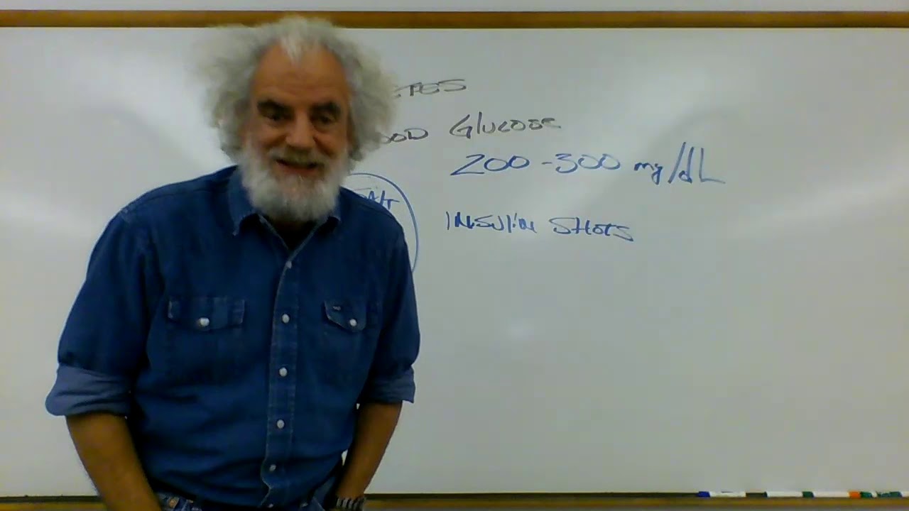 Biochem of Food Lecture 10/15 part 2 of 2 - YouTube