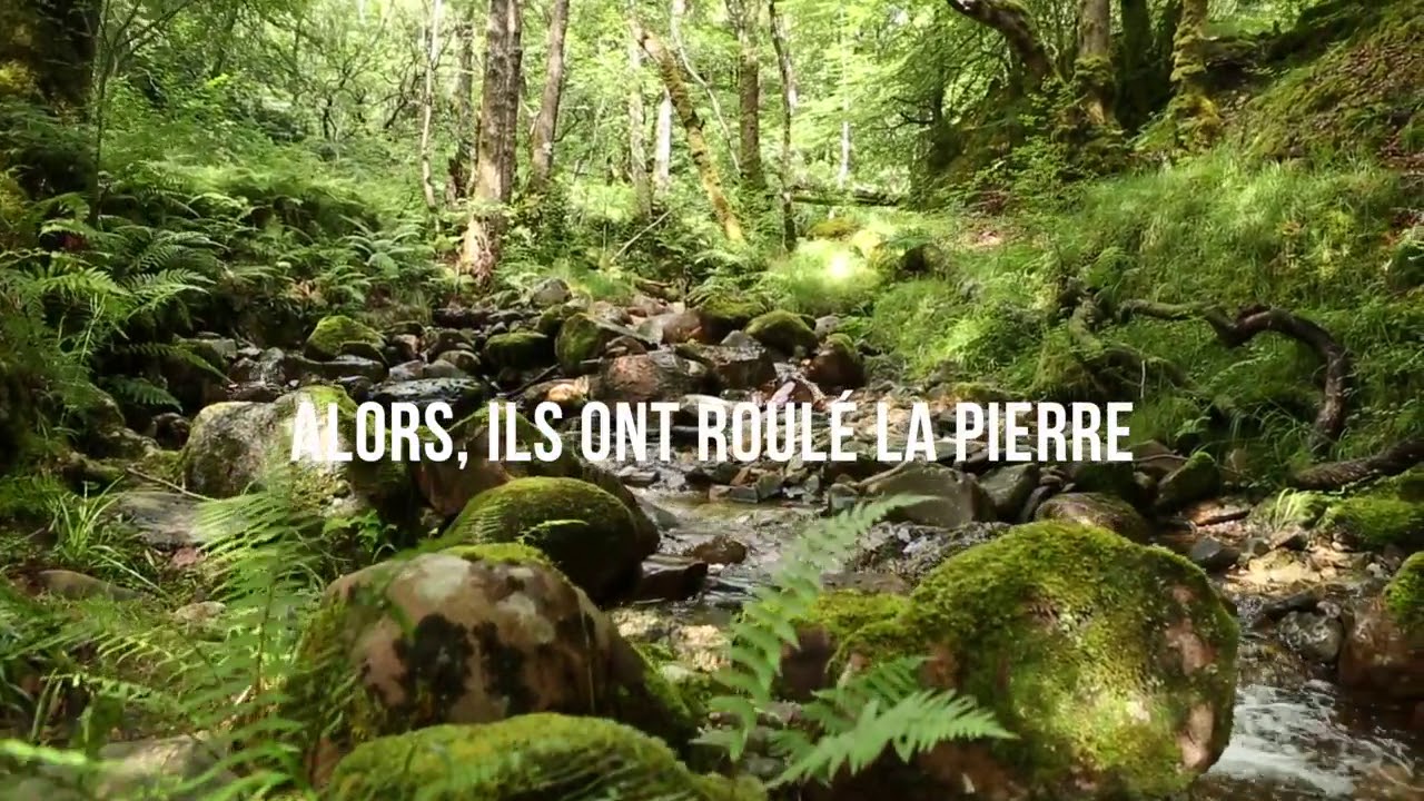 Glorious en duo avec EXO il y avait un jardin Album 1000 Echos - YouTube