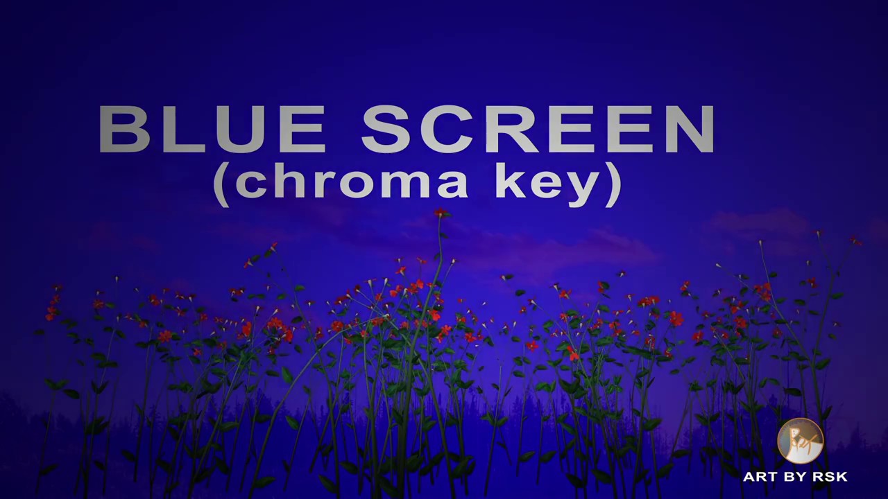 flower | flower blue screen chroma key - YouTube