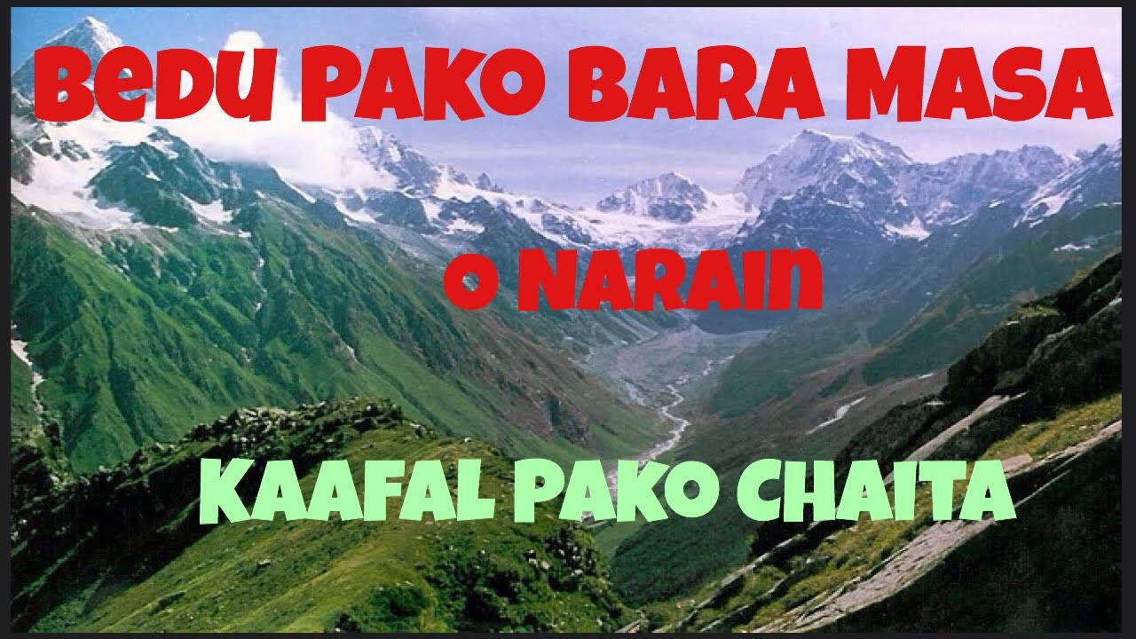 Bedu pako baromasa - YouTube