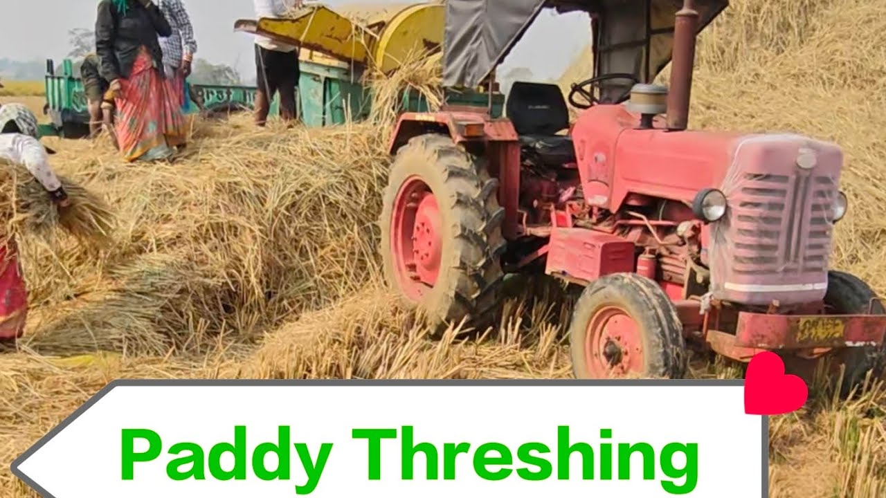 Paddy Threshing#tractor#paddy#farming# - YouTube