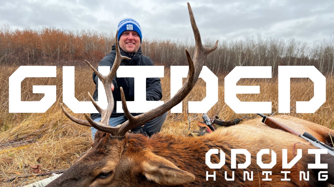 GUIDED : An Elk Hunt in the Alberta Prairies - YouTube