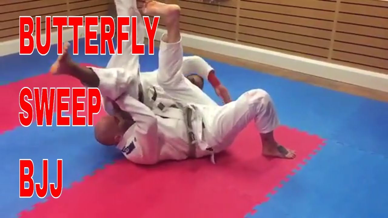 BUTTERFLY SWEEP BJJ - YouTube