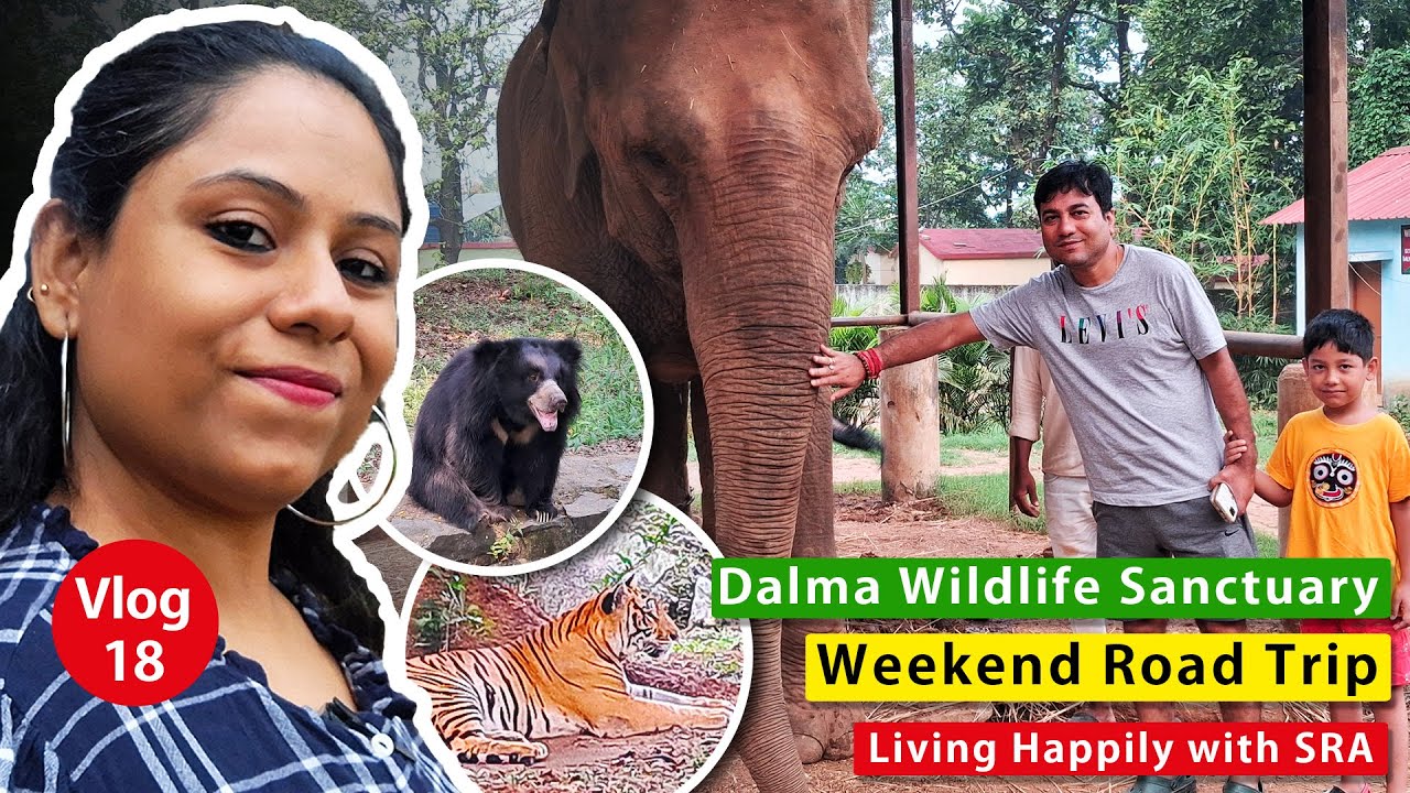 Ep 7 - Dalma Wildlife Sanctuary |Weekend tour near kolkata | Weekend ...