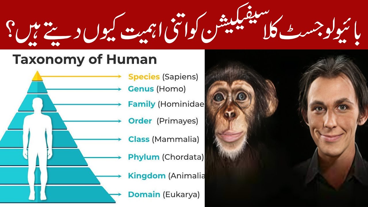 Why Classification is so important in Biology | 9th Class Biology ...
