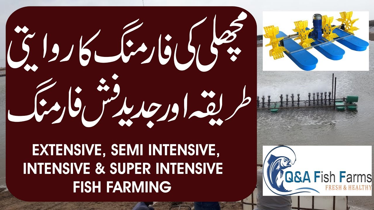 Introduction to Fish Farming,Types of Fish Farming in Urdu with English ...