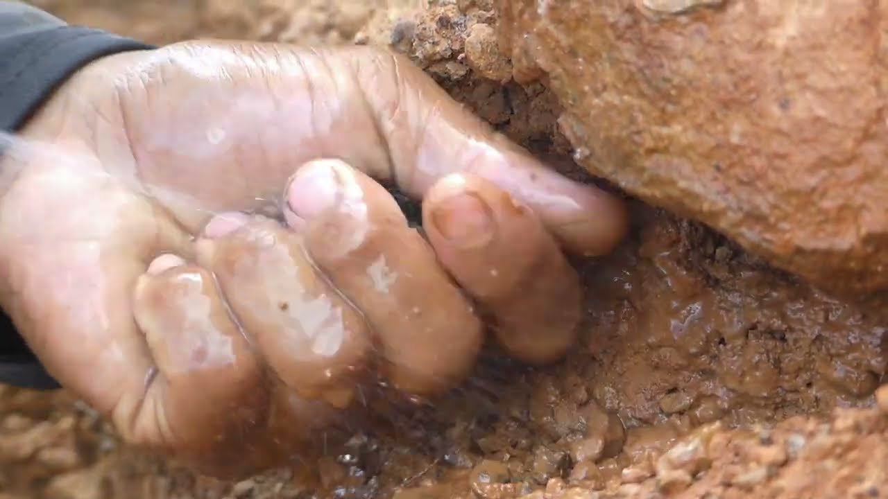 Searching for treasure on the hillside_ I found a king Python sleeping for thousands of years ...