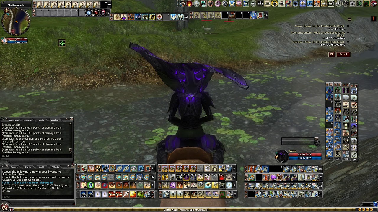 DDO Mounts on Lamannia preview server - spoiler - YouTube