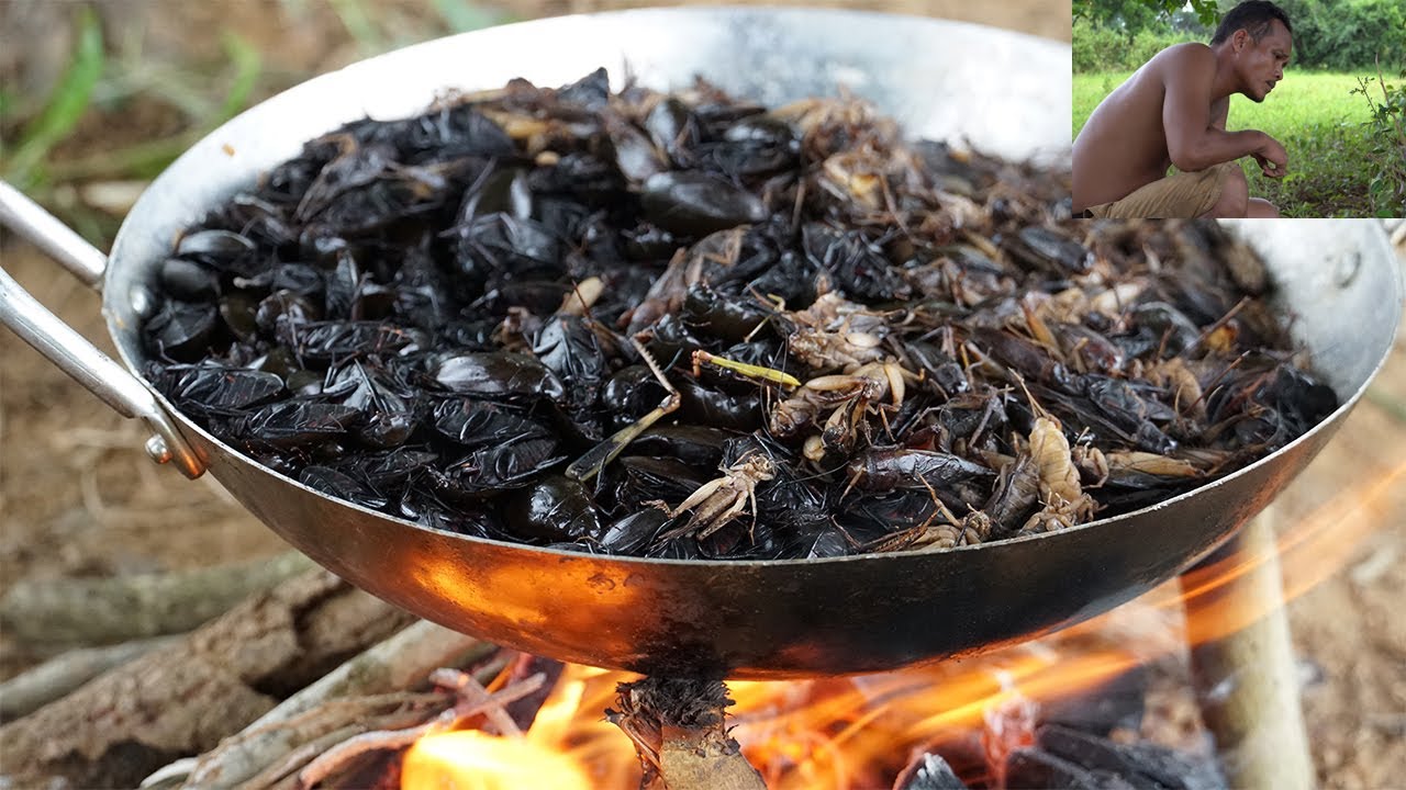 COOKING WATER BEETLE, CRICKET AND EATING | this man eats cricket and ...