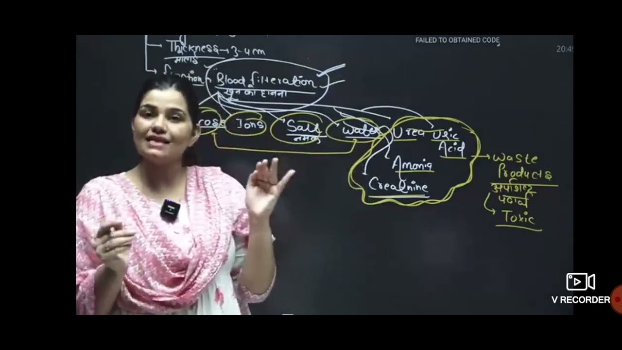human Nutrition class 08 - YouTube